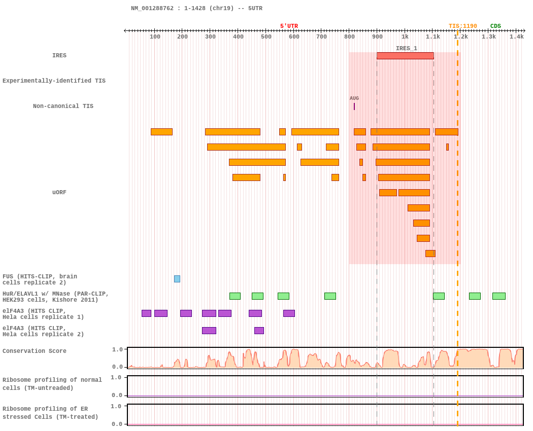 Human IRES Atlas -- IRES_detail