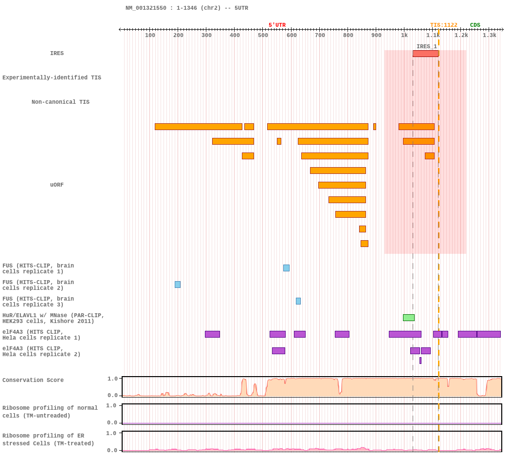 Human IRES Atlas -- IRES_detail