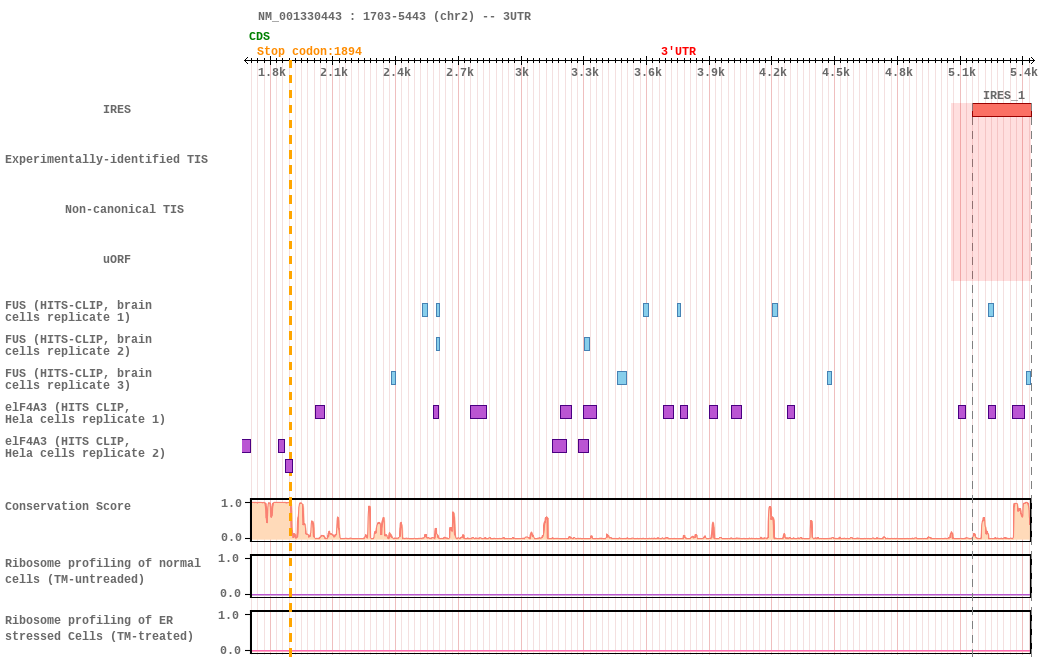 Human IRES Atlas -- IRES_detail
