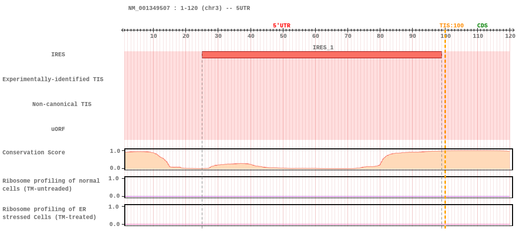 Human IRES Atlas -- IRES_detail