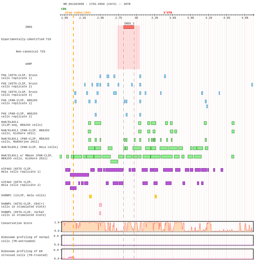 Human IRES Atlas -- IRES_detail